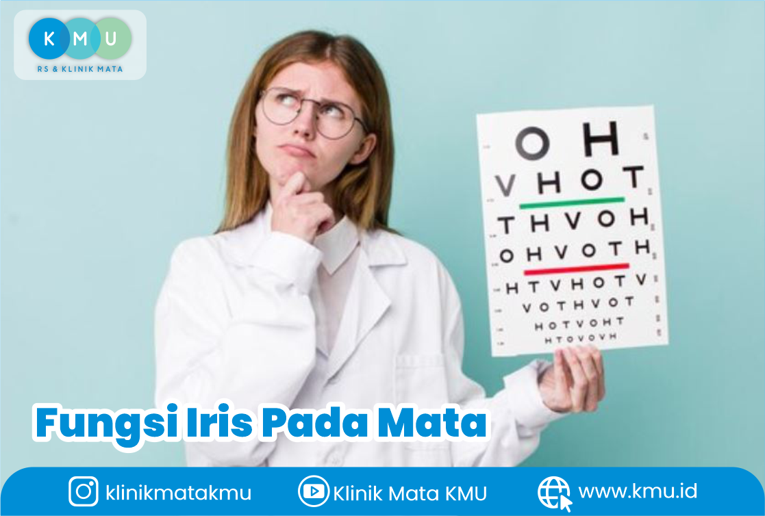 Anatomi Iris Mata, Fungsi, dan Cara Kerjanya