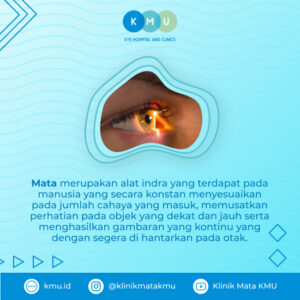 Memahami Cara Kerja Mata Manusia Dalam Proses Penglihatan