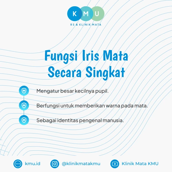 Anatomi Iris Mata: Kenali Cara Kerja Serta 3 Fungsinya